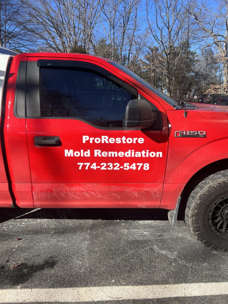 About - Prorestore mold remediation Worcester